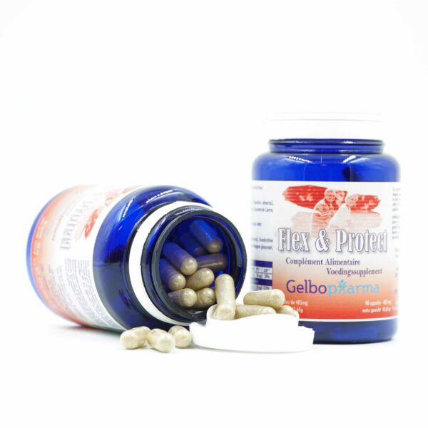 Flex & Protect Gelbopharma