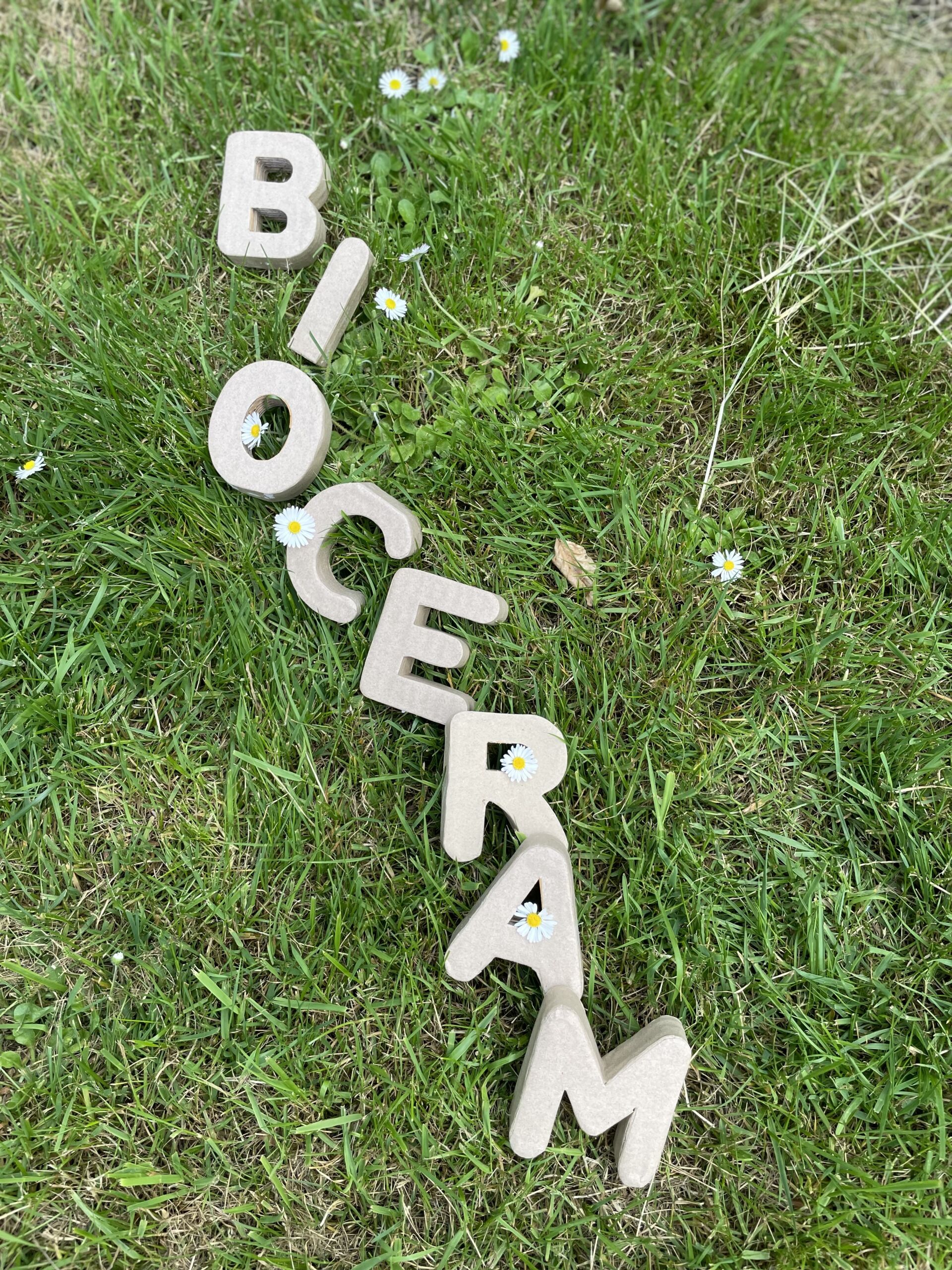 Produits Vitalisants - M Inside | Gelbopharma