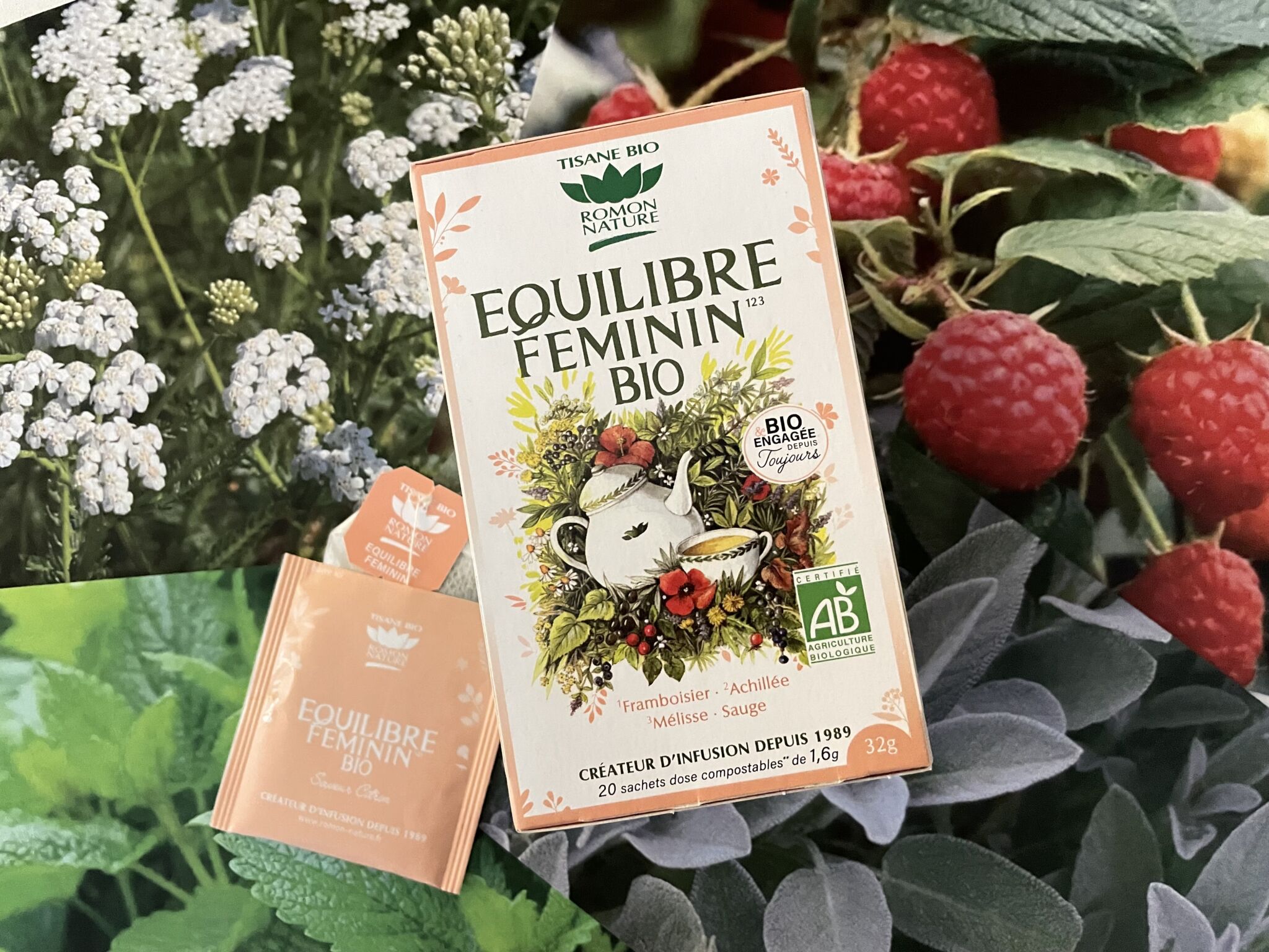 Tisane Équilibre Féminin bio* Romon Nature 20 sachets | Gelbopharma